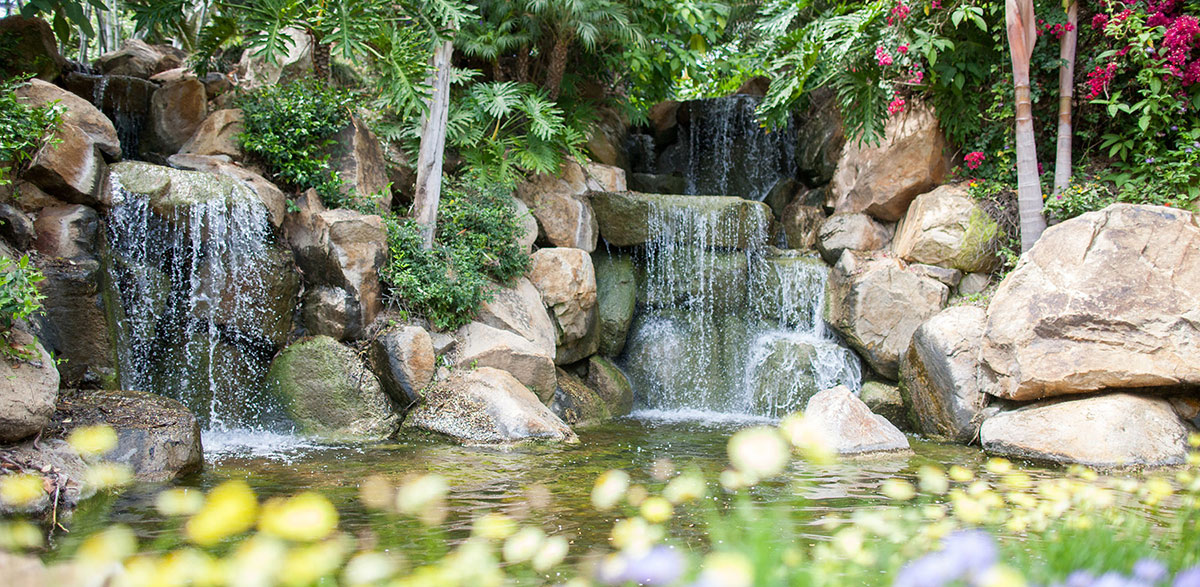 Arbor Terrace - Grand Tradition Estate and Gardens